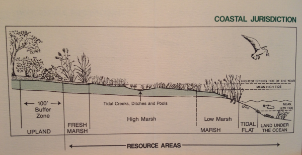 What is the jurisdiction of Conservation Commissions on Cape Cod?